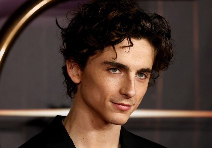 Timothée Chalamet revela conselho de Leonardo DiCaprio: “sem drogas pesadas ou filmes de super ...