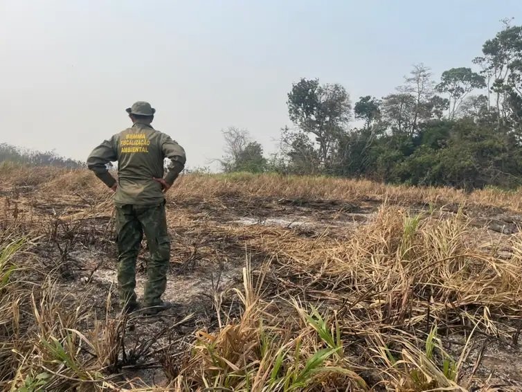 Amazônia tem o maior número de queimadas e incêndios em quase 20 anos ...